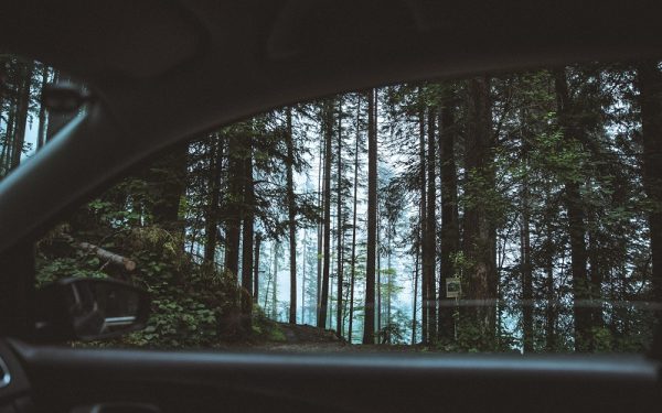 How to Wash Your Car's Windows? | DetailXPerts Blog