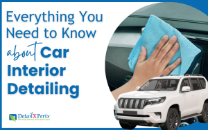 Car Interior Detailing: Everything You Need to Know | DetailXPerts