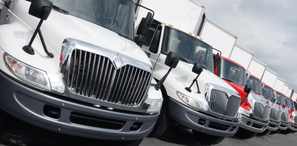 Fleet Services: Washing and Detailing with Steam by DetailXPerts